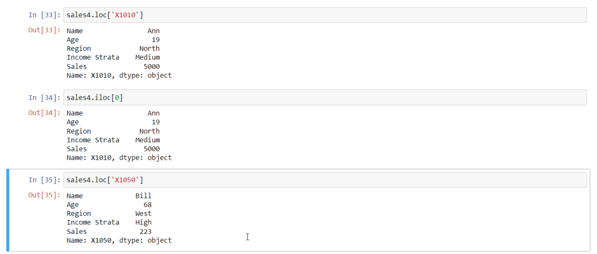 Sales 4 loc and iloc working operations – Data Science Review