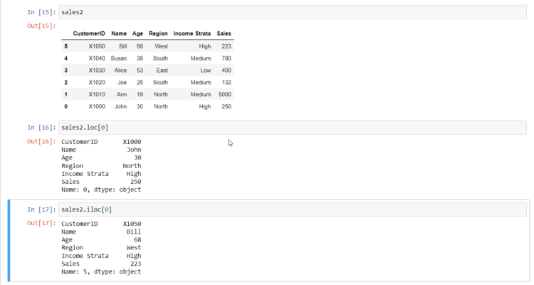 Grasping Loc and iLoc in Pandas – Data Science Review