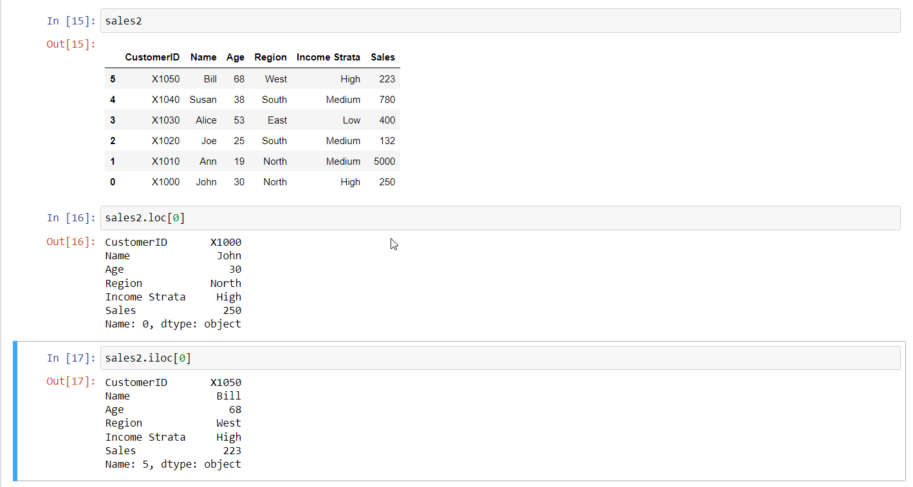 Grasping Loc and iLoc in Pandas – Data Science Review