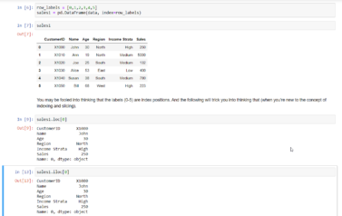 Grasping Loc and iLoc in Pandas – Data Science Review